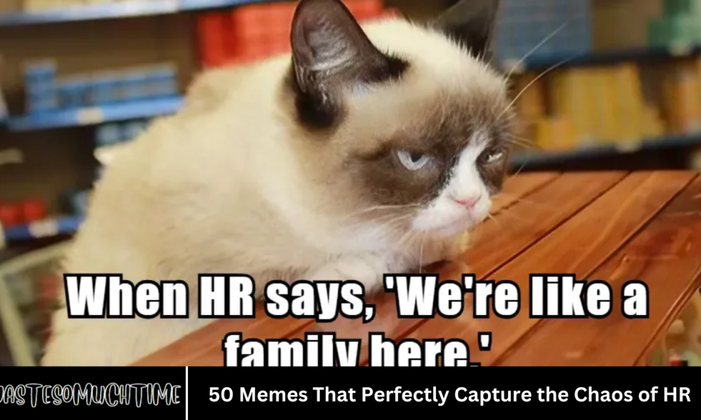 50 Memes That Perfectly Capture the Chaos of HR- IWasteSoMuchTime