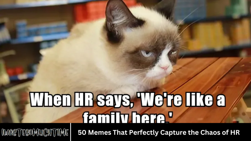 50 Memes That Perfectly Capture the Chaos of HR- IWasteSoMuchTime